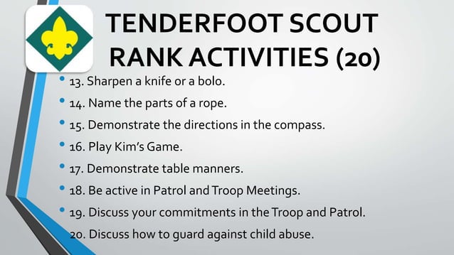 ACTIVITIES-IN-BOY-SCOUTING.pptx | Secondary Education | Education