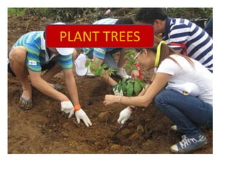 Activities for protecting our environment | PPTX