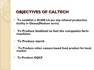 Activities of the Caltech Ventures ltd in the Cassava Industry in Ghana ...