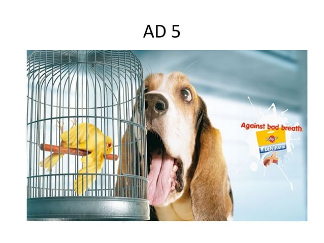 Linguagem da propaganda/ Language in Advertising | PPT