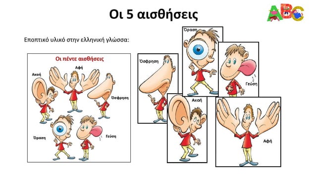 Activities_unit4_task8-ΑΓΓΛΙΚΑ ΓΙΑ ΤΟ ΝΗΠΙΑΓΩΓΕΙΟ | PDF