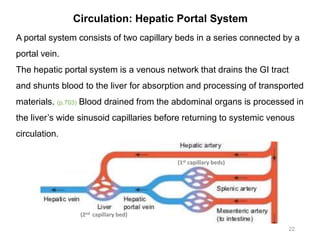 Activity 10-vessels-circulation | PPTX