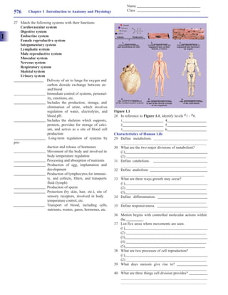 Activity-2-Ana-and-Physiology-Intro-1.docx