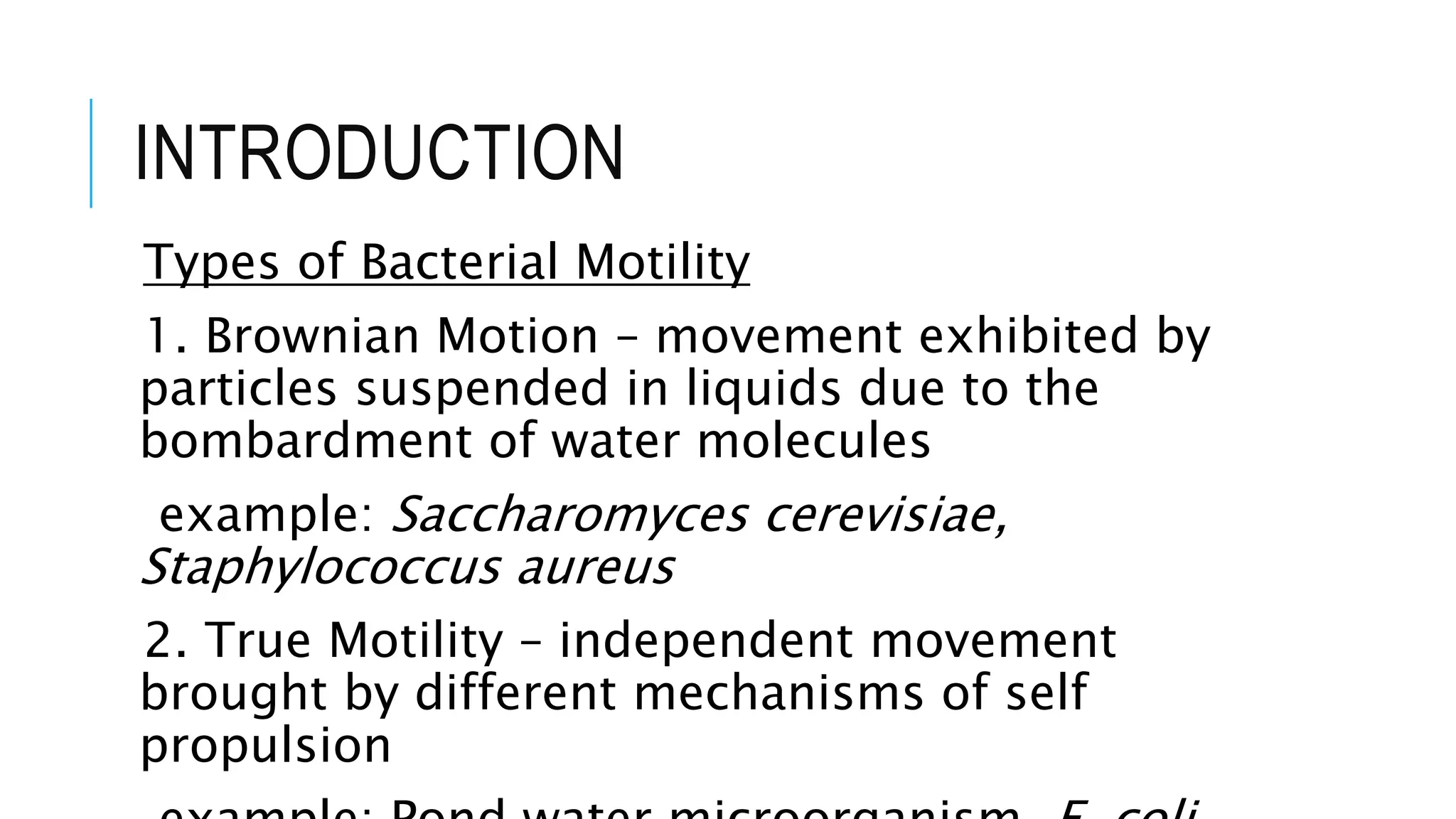 Activity 2 - Determination of Bacterial Motility | PPTX