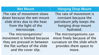 Activity 2 - Determination of Bacterial Motility | PPTX