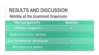 Activity 2 - Determination of Bacterial Motility | PPTX
