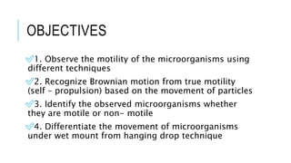 Activity 2 - Determination of Bacterial Motility | PPTX