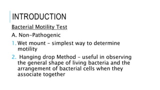 Activity 2 - Determination of Bacterial Motility | PPTX