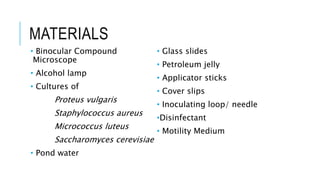 Activity 2 - Determination of Bacterial Motility | PPTX