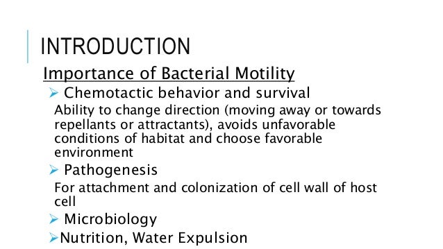 Activity 2 - Determination of Bacterial Motility