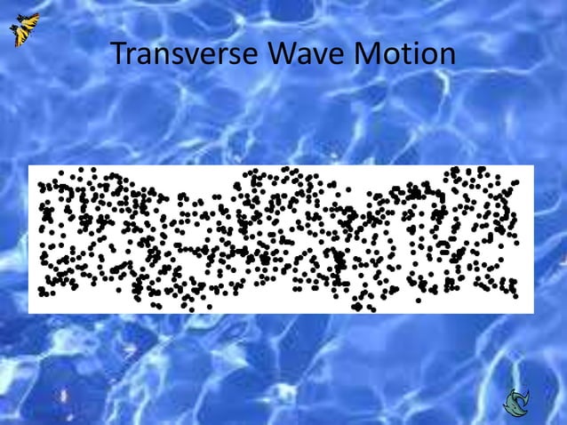 Types of waves | PPTX | Geology | Science