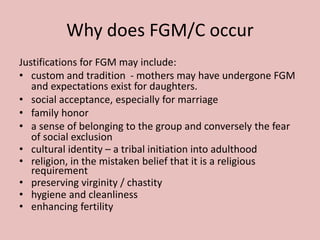 Activity-G8-Female-Genitals-and-FGM-C.ppt | Reproductive Health ...