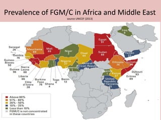 Activity-G8-Female-Genitals-and-FGM-C.ppt