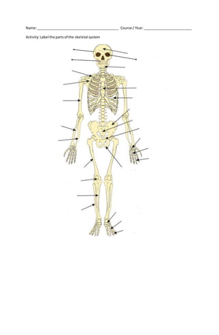 Blank Skeletal System