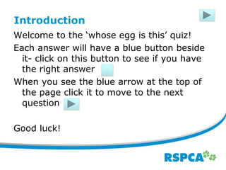Activity whose egg is this- ages 8 and under | PPT