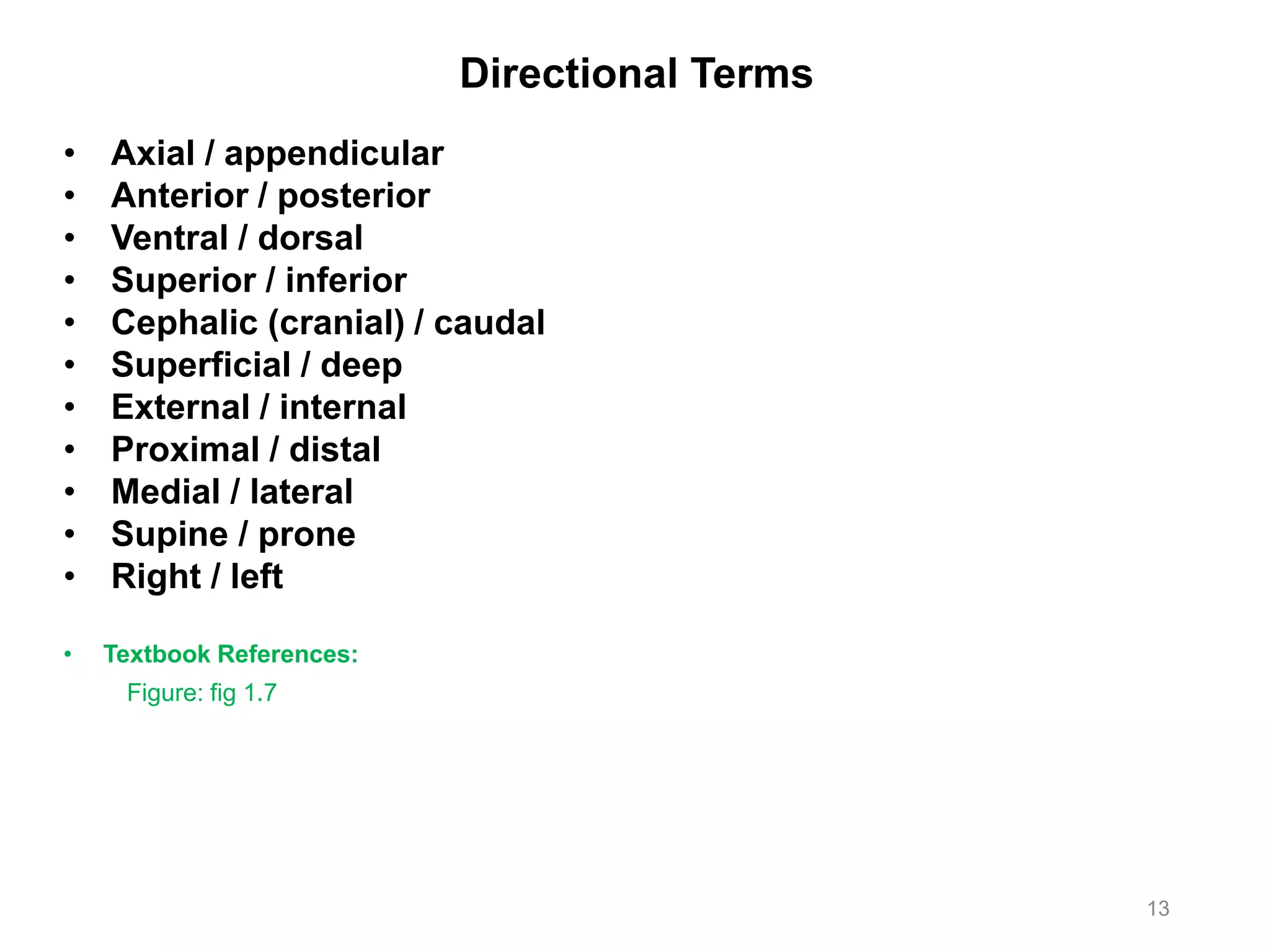 Activity 1 - Anatomical Terms | PPTX