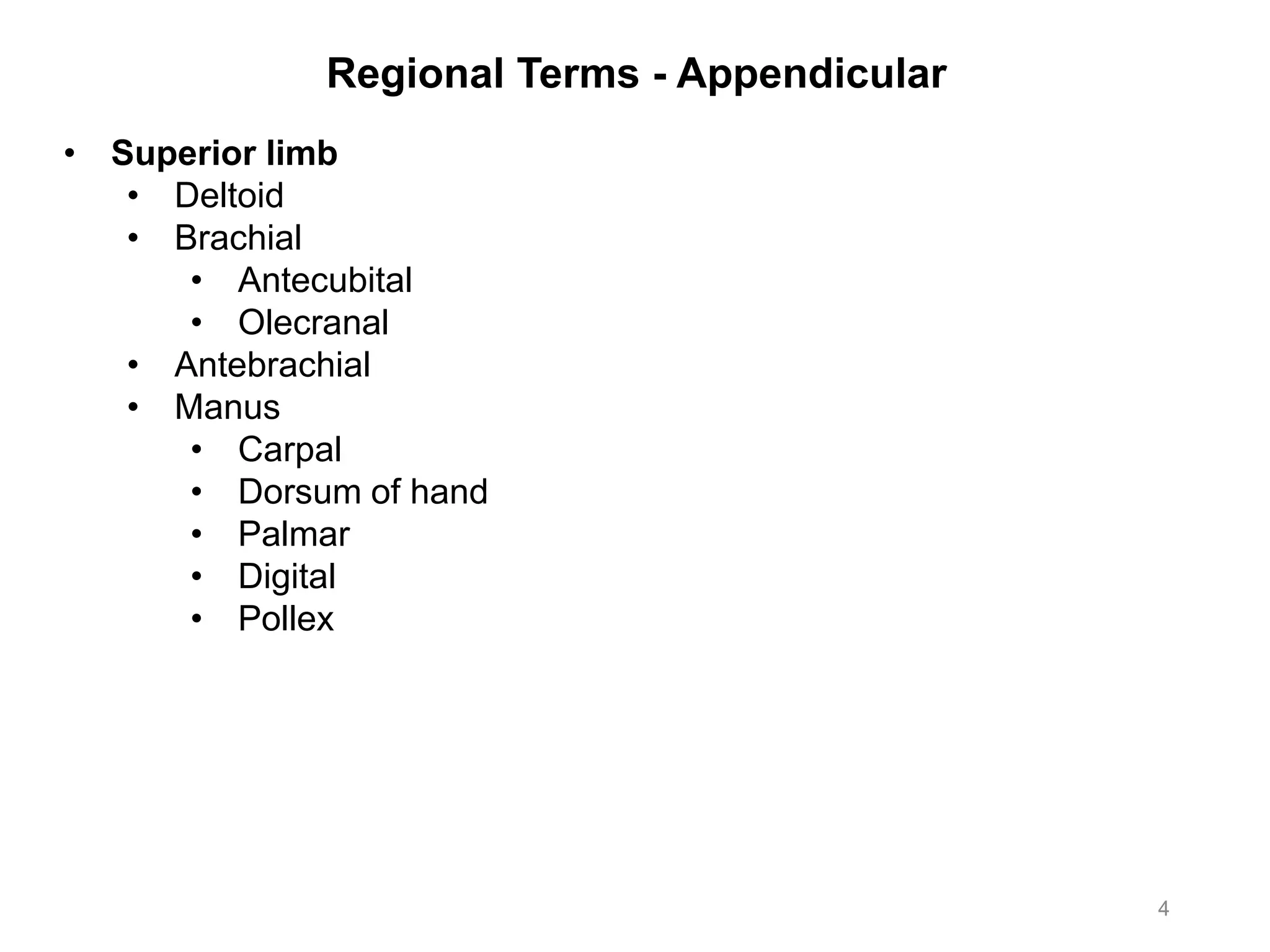 Activity 1 - Anatomical Terms | PPTX