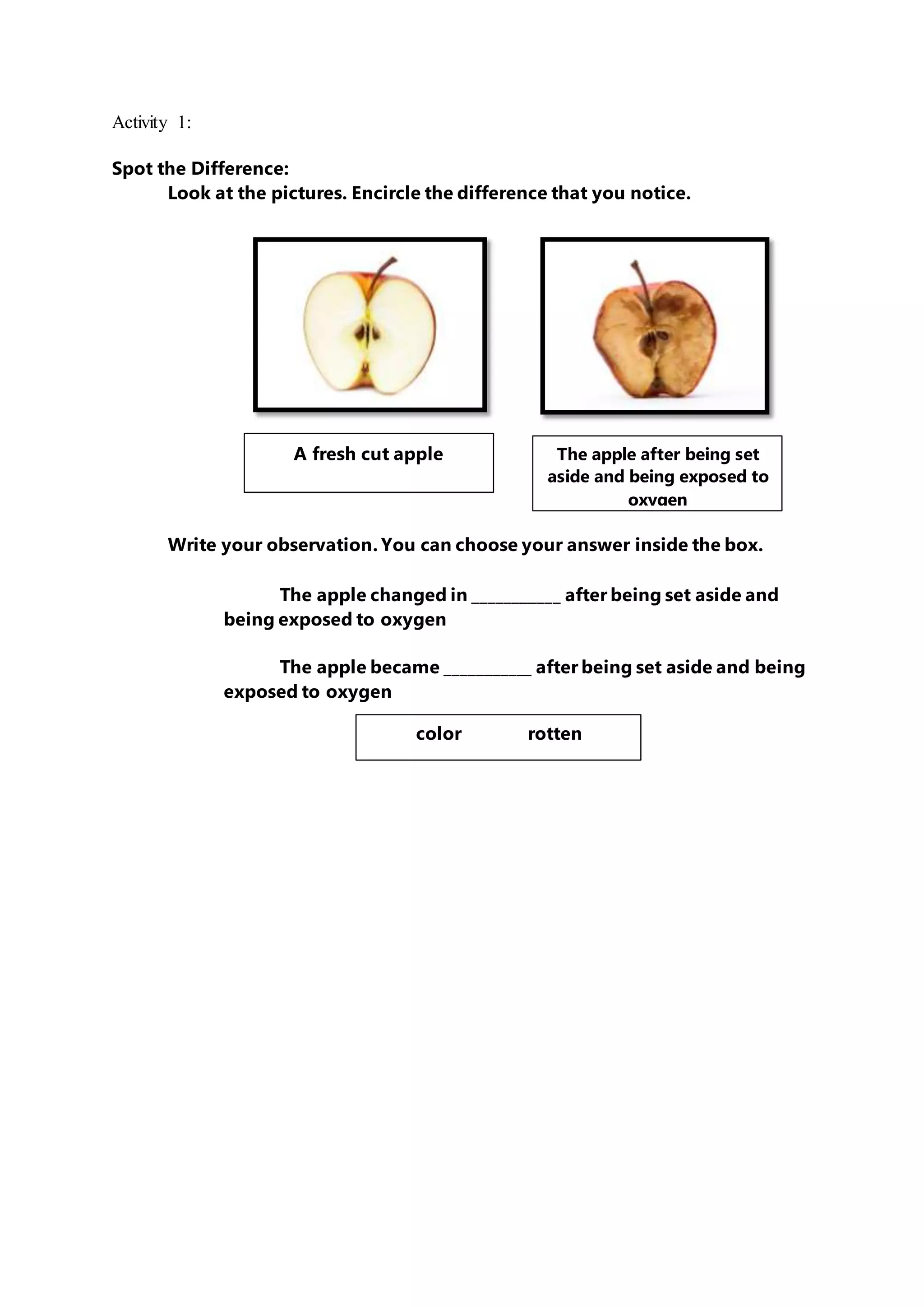 Activity 1: Spot the Difference | DOCX