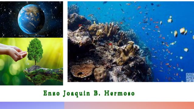 Activity 11.1_Earth Song_HERMOSO.pptx