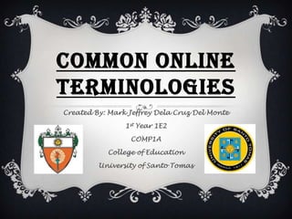 Activity 11 common online terminologies | PPT