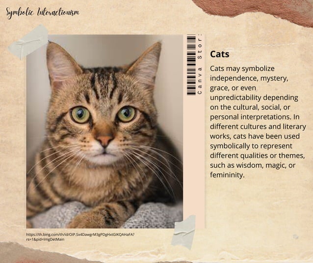 Activity 1_20 Examples of Symbolic Interactionism_Mark Anthony ...