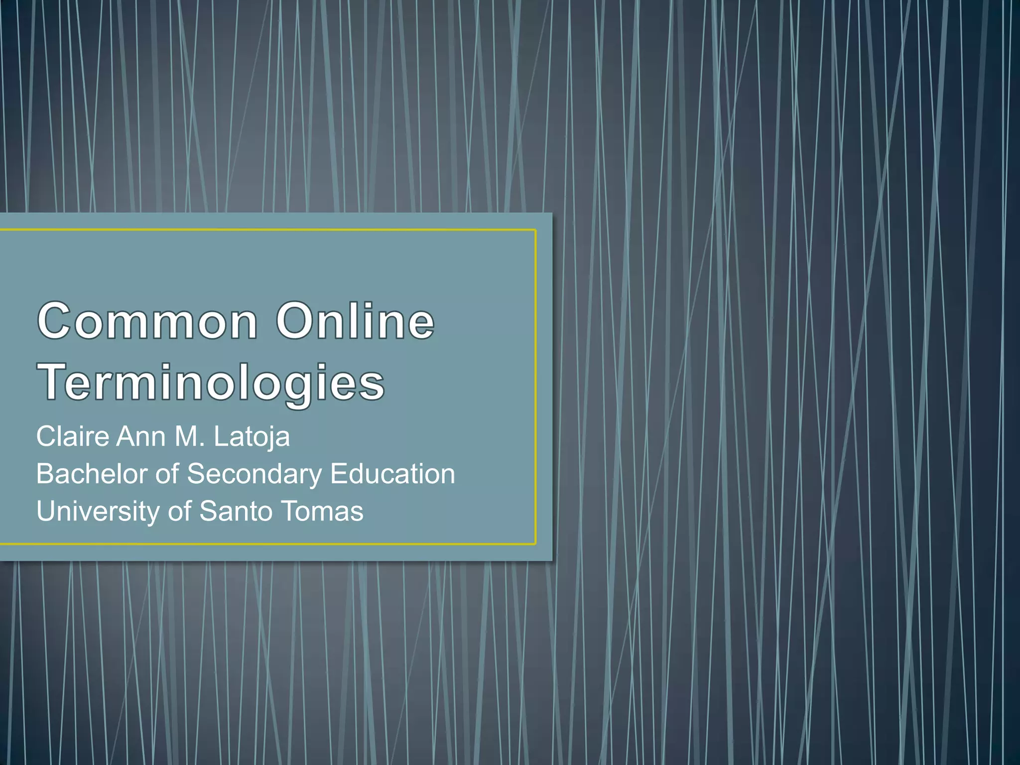 Activity 13 common online terminologies | PPT