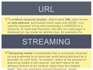 Common Online Terminologies | PPTX