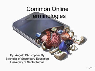 Activity 13 Common Online Terminologies | PPT