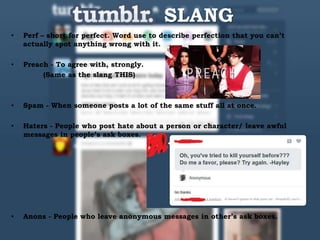 Tumblr Terminology | PPTX