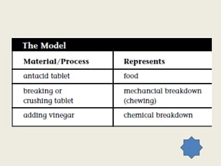 Activity 14 b breakdown | PPT