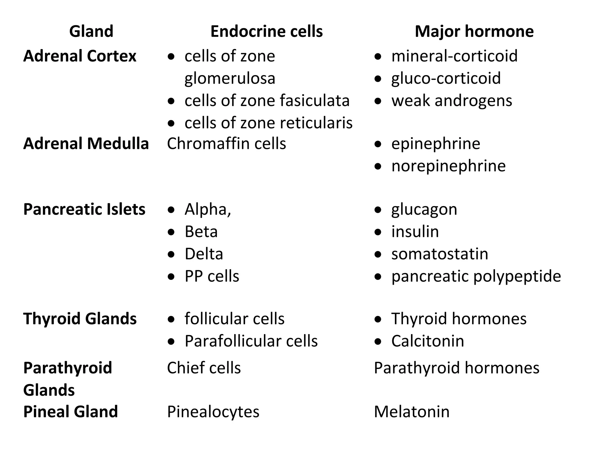 Endocrine System | PPT