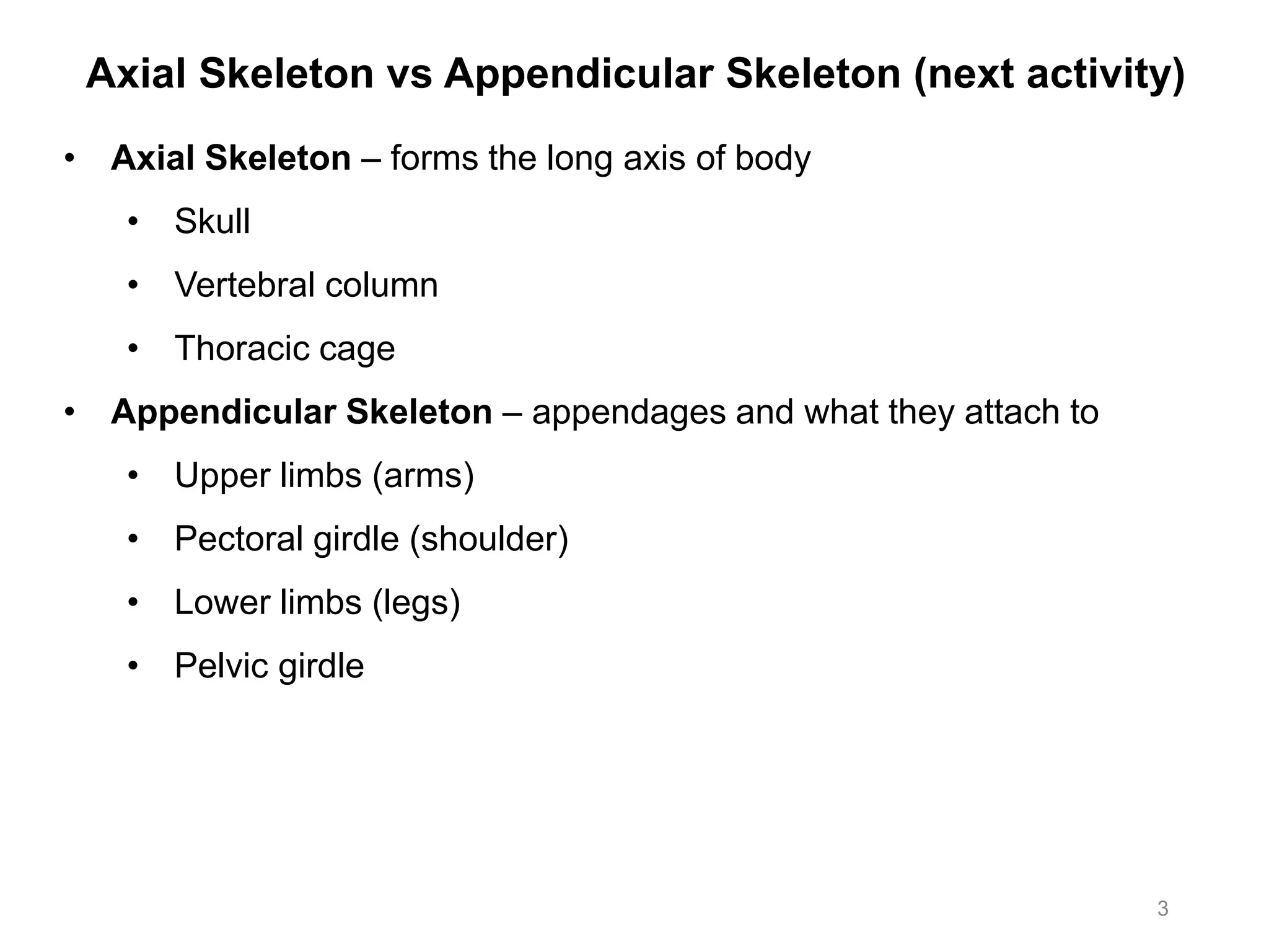 Activity 3 - Axial Skeleton | PPTX
