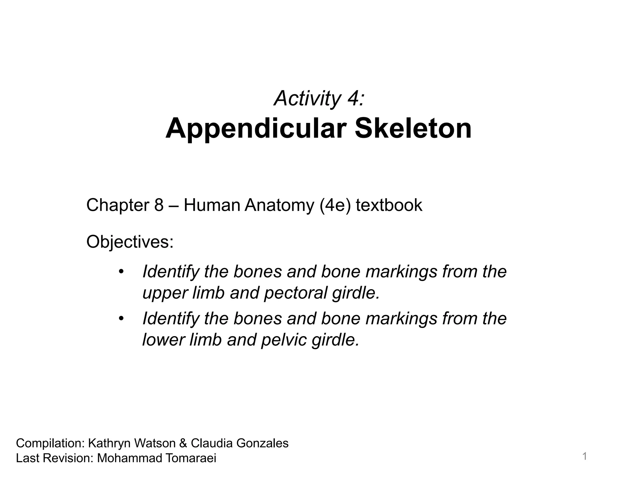 Activity 4 Appendicular Skeleton Ppt