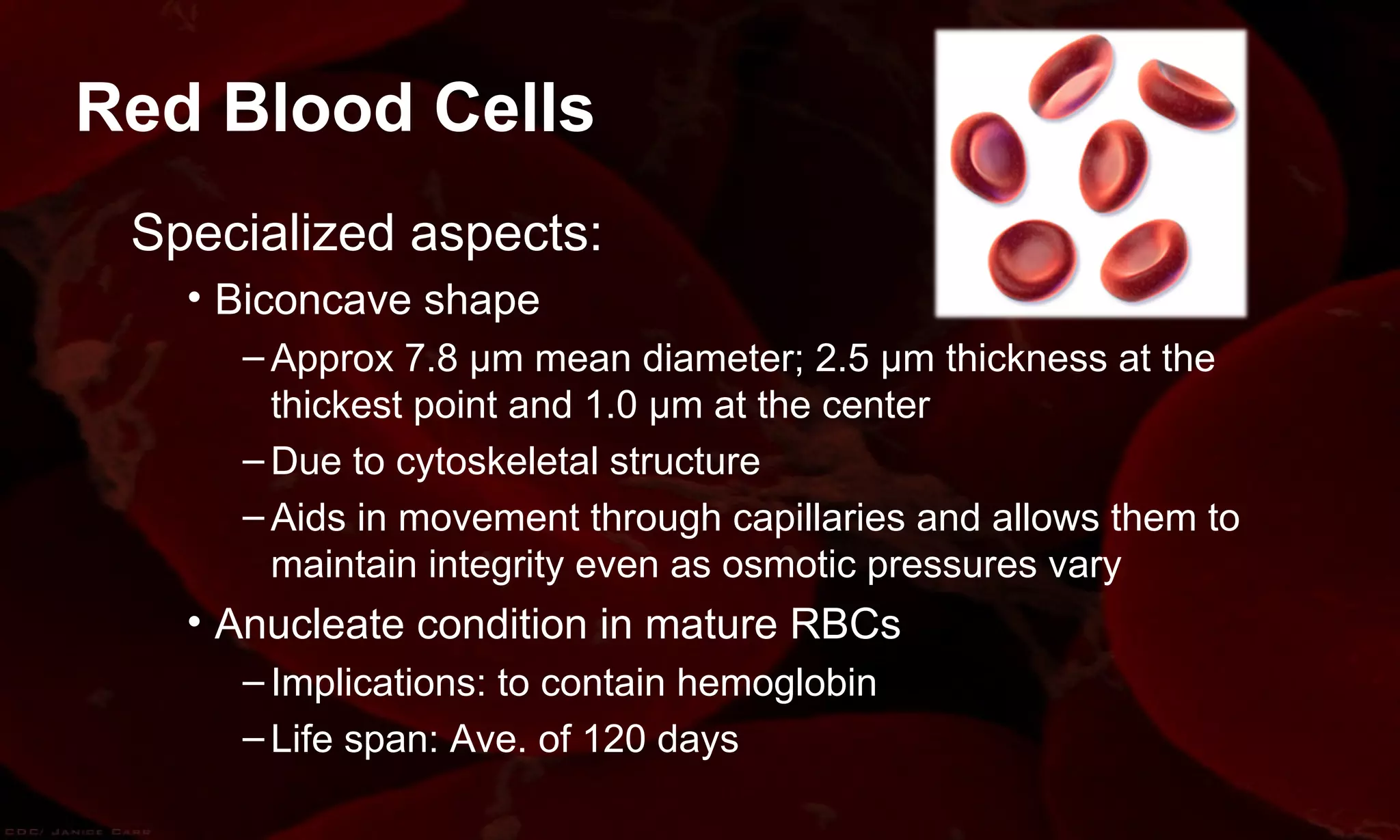 Blood Analysis | PPT