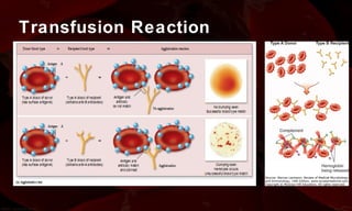 Blood Analysis | PPT