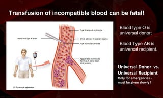 Blood Analysis | PPT
