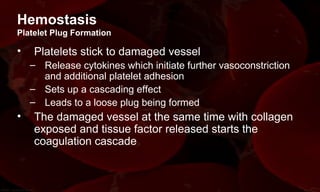 Blood Analysis | PPT
