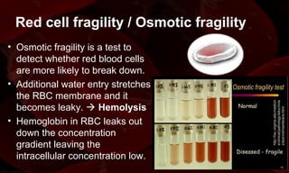 Blood Analysis | PPT