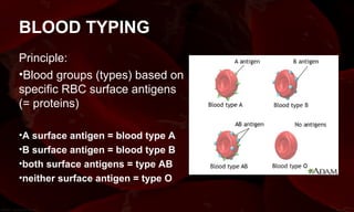 Blood Analysis | PPT