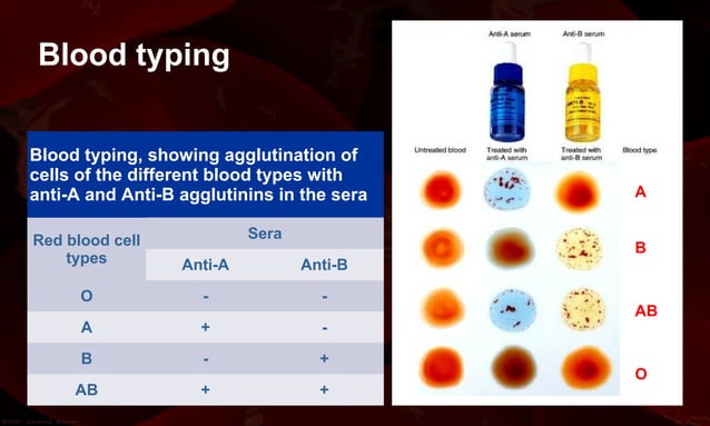 Blood Analysis | PPT