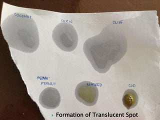 Activity 5 a biochem report | PPTX