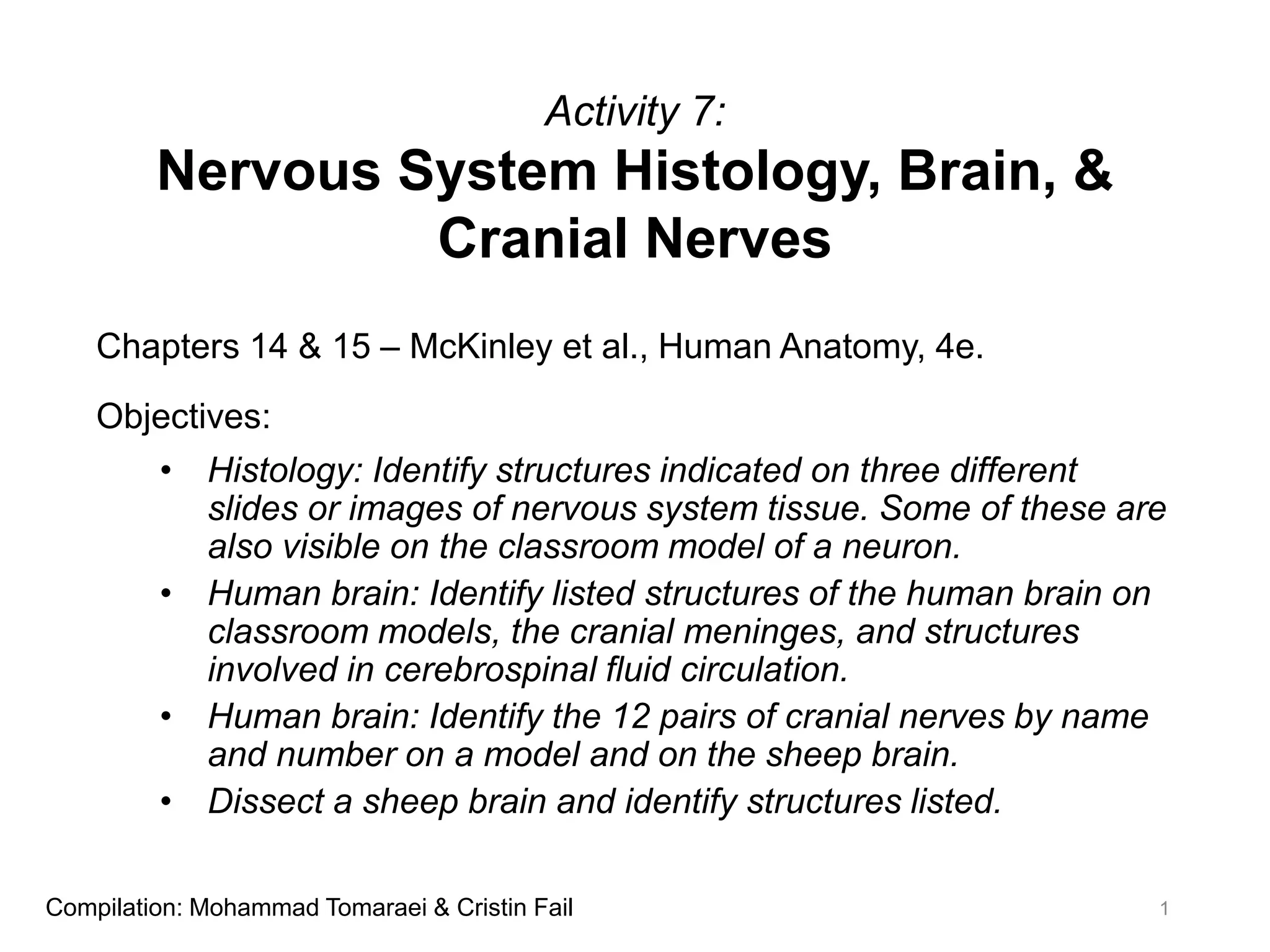 Activity 7 - Brain & Cranial Nerves | PPTX