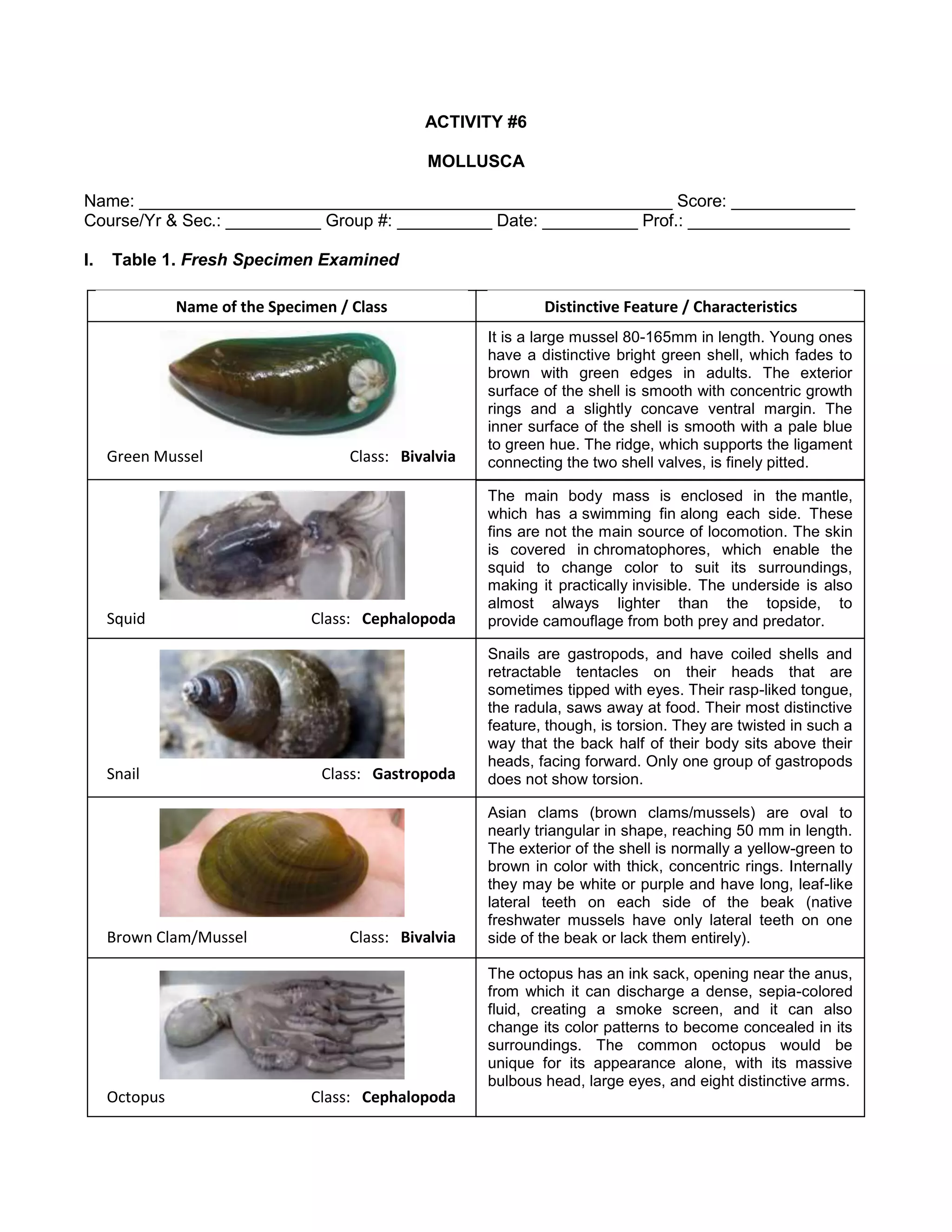 General Zoology Lab - Activity 6 Mollusca | DOCX