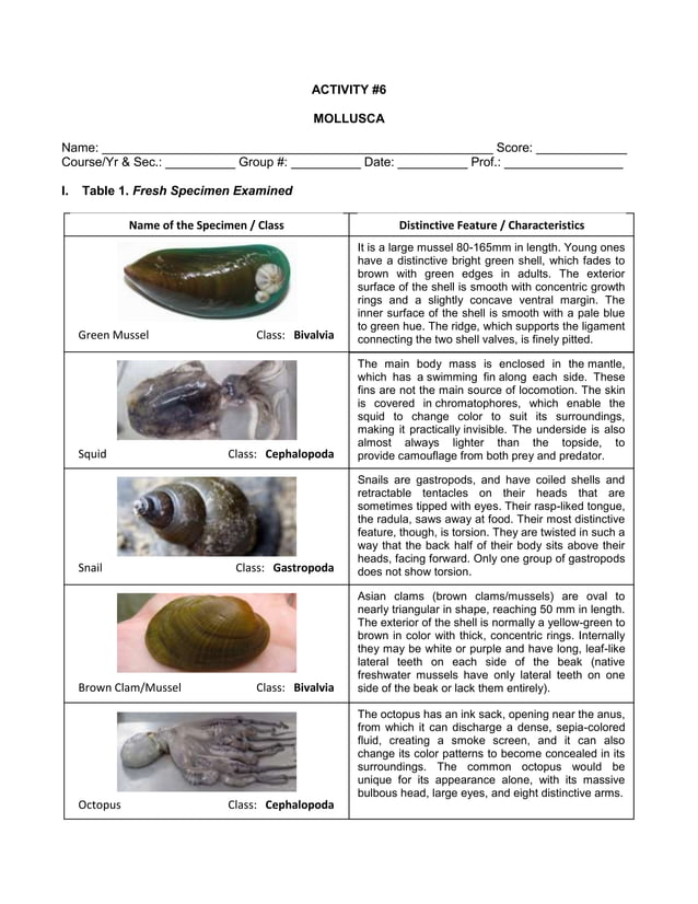 General Zoology Lab - Activity 6 Mollusca | DOCX