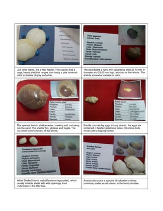 General Zoology Lab - Activity 6 Mollusca | DOCX