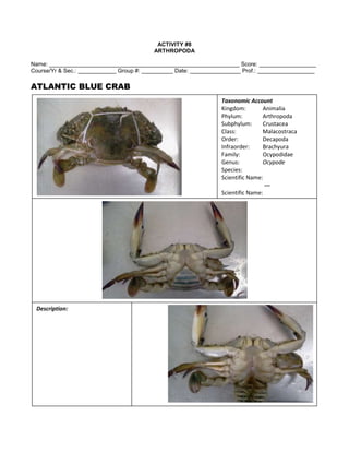 General Zoology Lab - Activity 8 Arthropoda | DOCX