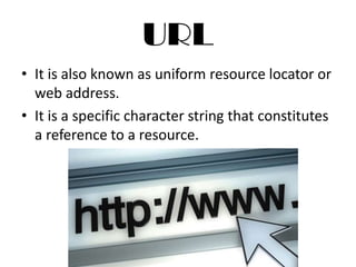 Common Online Terminologies | PPT