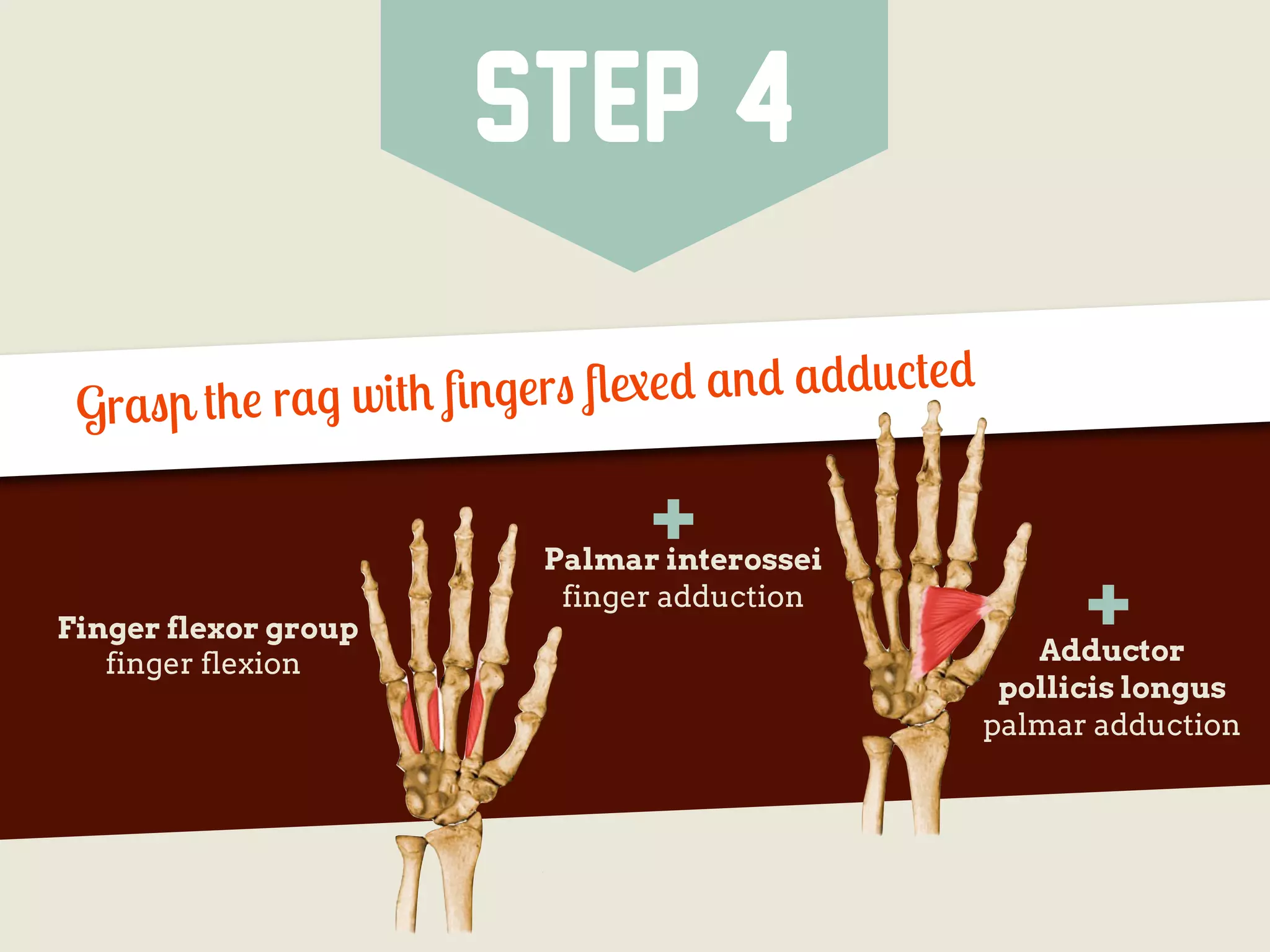 Activity analysis presentation spidey | PDF
