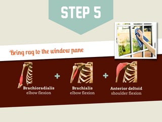 Activity analysis presentation spidey | PPT