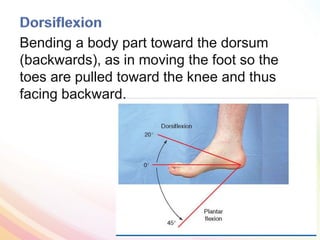 ACTIVITY AND EXERCISE NURSING FOUNDATION OF NURSING | PPTX